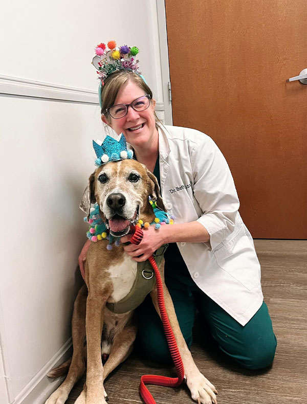 Wellness - Charlottesville Veterinary Hospital