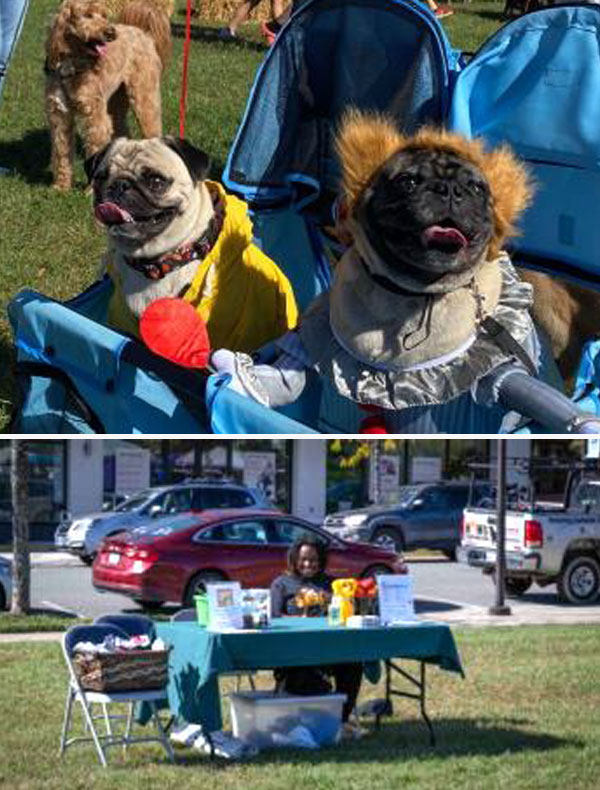 Community Outreach - Charlottesville Veterinary Hospital